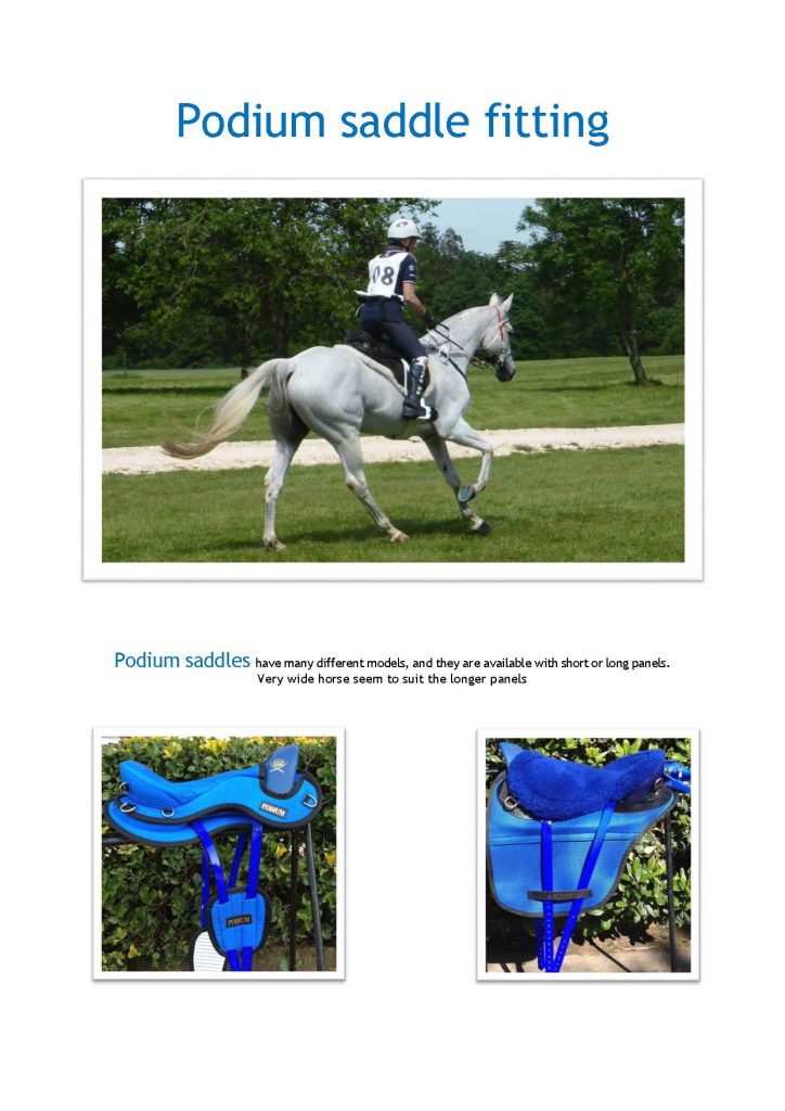 Saddle Fitting Guide - Pioneer Endurance