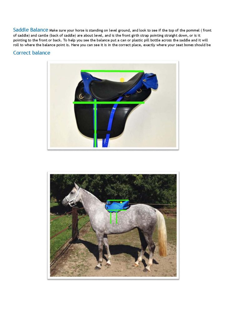 Saddle Fitting Guide - Pioneer Endurance