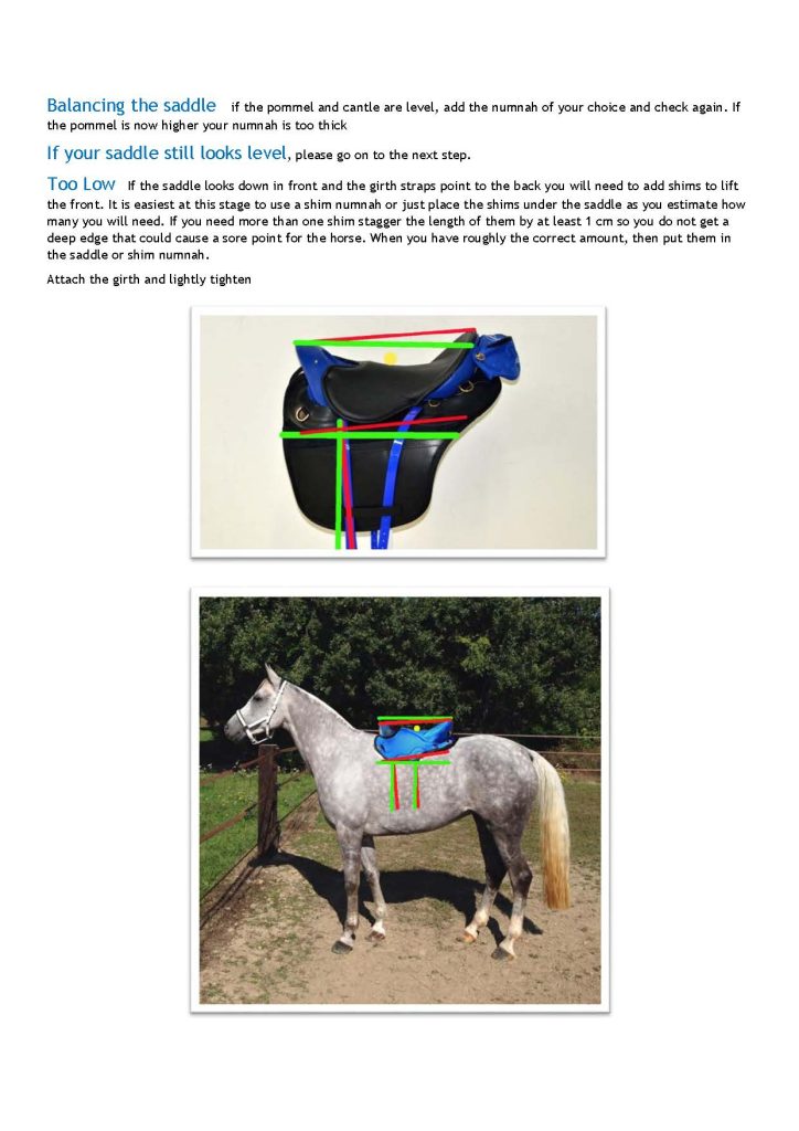 Saddle Fitting Guide - Pioneer Endurance