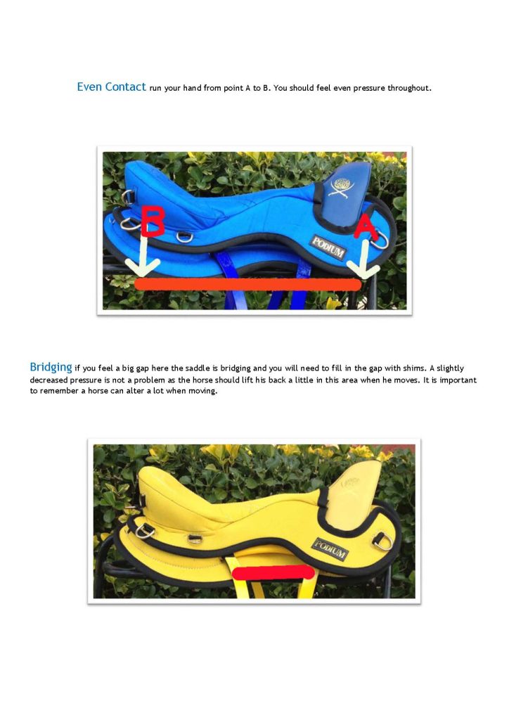 Saddle Fitting Guide - Pioneer Endurance