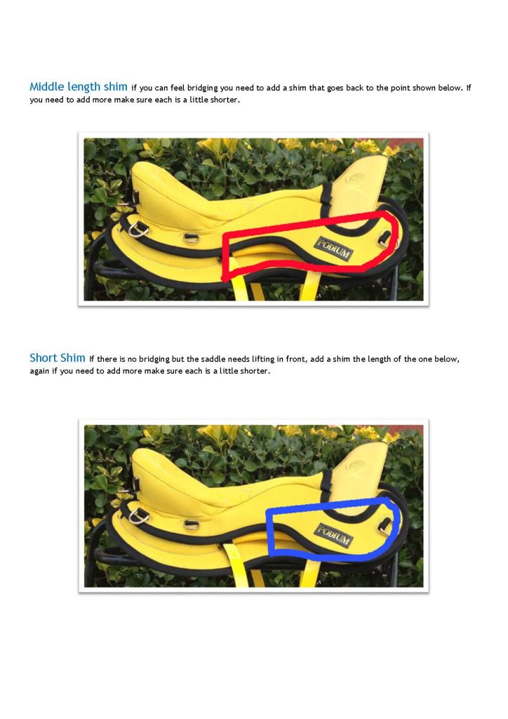 Saddle Fitting Guide - Pioneer Endurance
