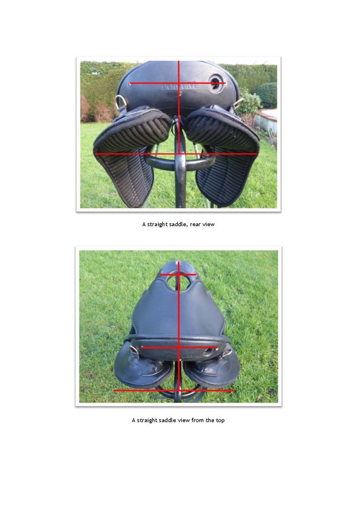 Saddle Fitting Guide - Pioneer Endurance