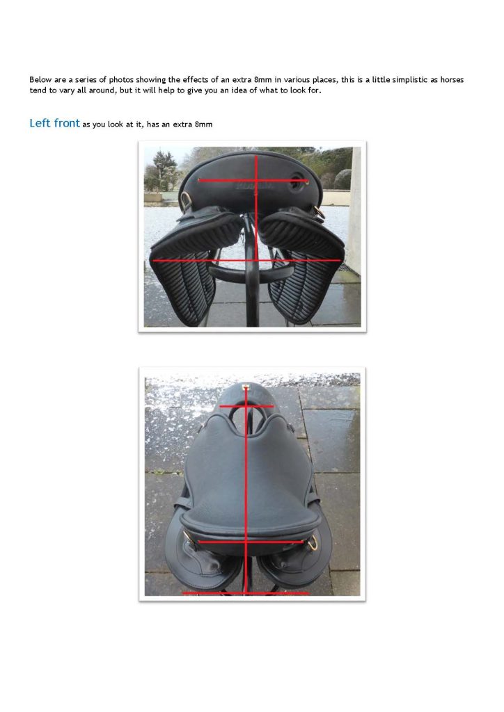 Saddle Fitting Guide - Pioneer Endurance