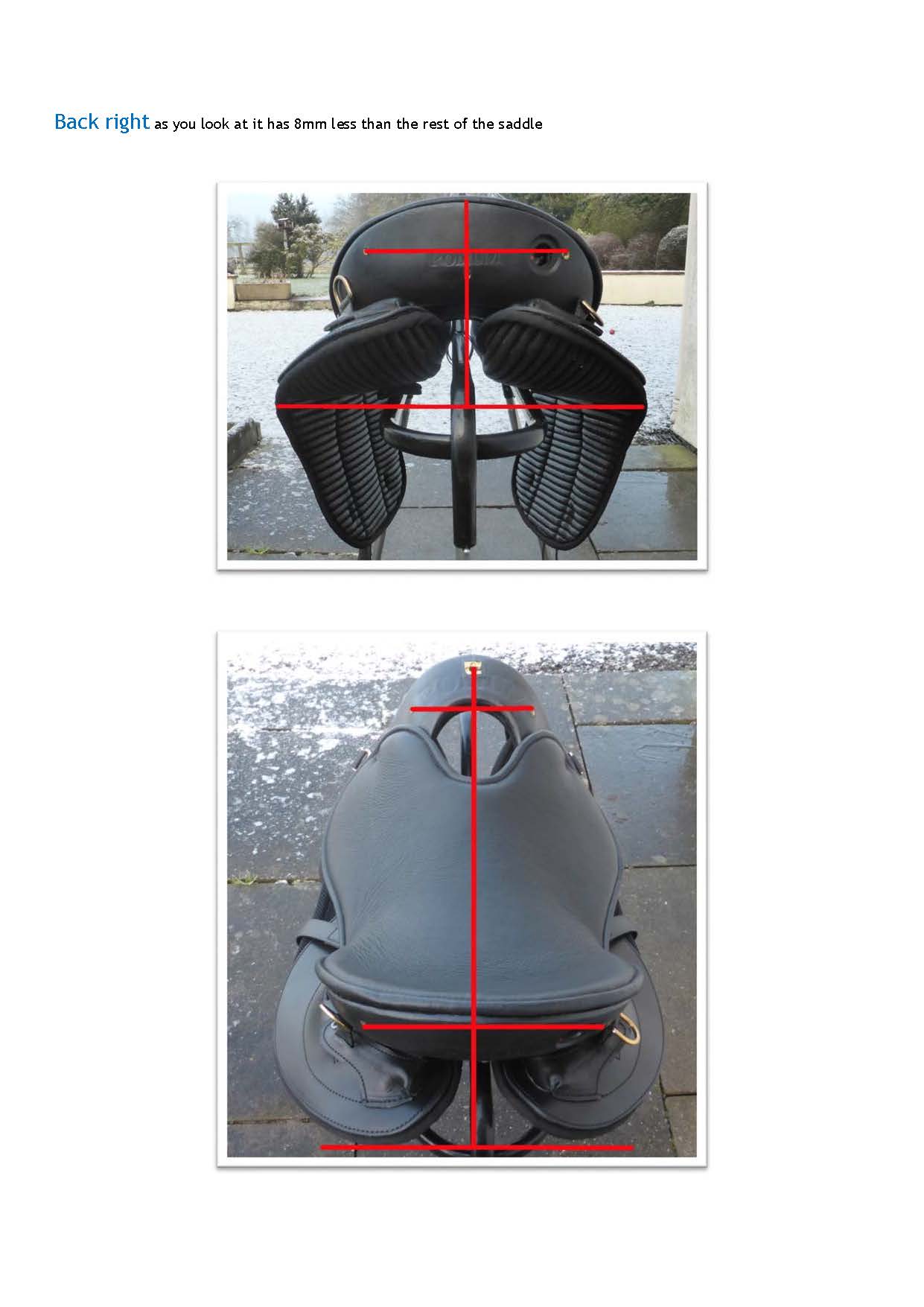 Saddle Fitting Guide - Pioneer Endurance
